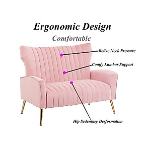 Altrobene Velvet Couch Modern Wingback Loveseat Tufted Luxury Sofa with Gold Legs for Living Room/Bedroom, Light Pink