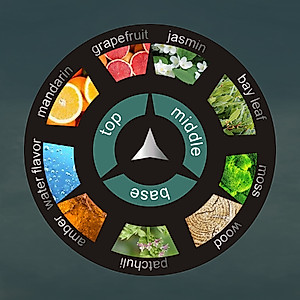 COUPLER Pheromone Cologne for Men - Pheromones for Men - Concentradas Feromonas para Hombres - Male Phermone Perfume Oil 10ml - Excellent Gift Idea