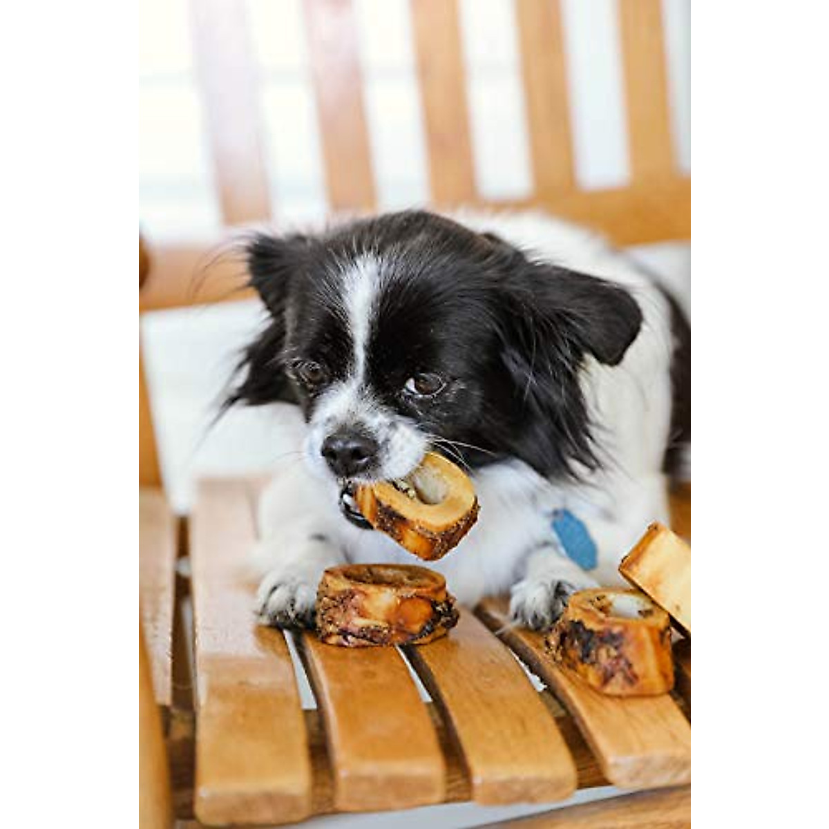 K9 Connoisseur Single Ingredient Dog Bones Made in USA for Small Breed Dogs Natural Long Lasting Marrow Filled Bone Slice Chew Treat Best for Dogs Or Puppies Up to 15 Pounds 3 Pack of 6 Slices