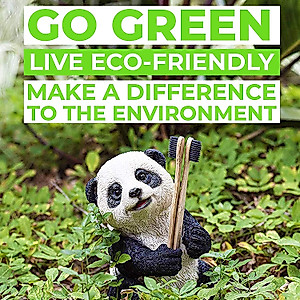 EveEco 12 Count I Bamboo Toothbrush I Soft Bristles Best for Sensitive Gums I Charcoal I Vegan I Natural Wood I BPA Fee I Recyclable I Compostable I Biodegradable | Environmentally Friendly