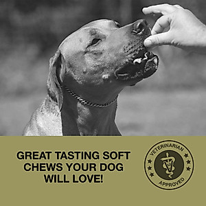 Nutriline Labs Yellow-Away Dog Urine Neutralizer for Lawn - Helps Balance Pee pH - Dog Supplement with Vitamin B Blend, Probiotics, Cranberry Fiber, DL-Methionine, Yuca - Beef Flavor, 120 Soft Chews