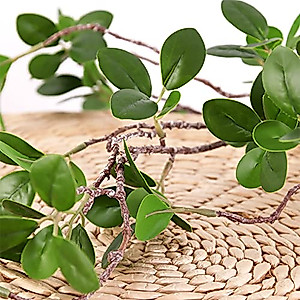 SzJias Faux Stems Artificial Branches for Vase Faux Greenery Plant Stems for Fake Tree Branches (3 Branches, 43.3 inch/Branches)