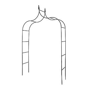 Peach Tree Outdoor Garden Arch Gothic 8' 4" H x 4' 7" W Arbor Iron Black Trellis Metal Weather Resistant Wall Art Climbing Plant Growing Lawn Backyard