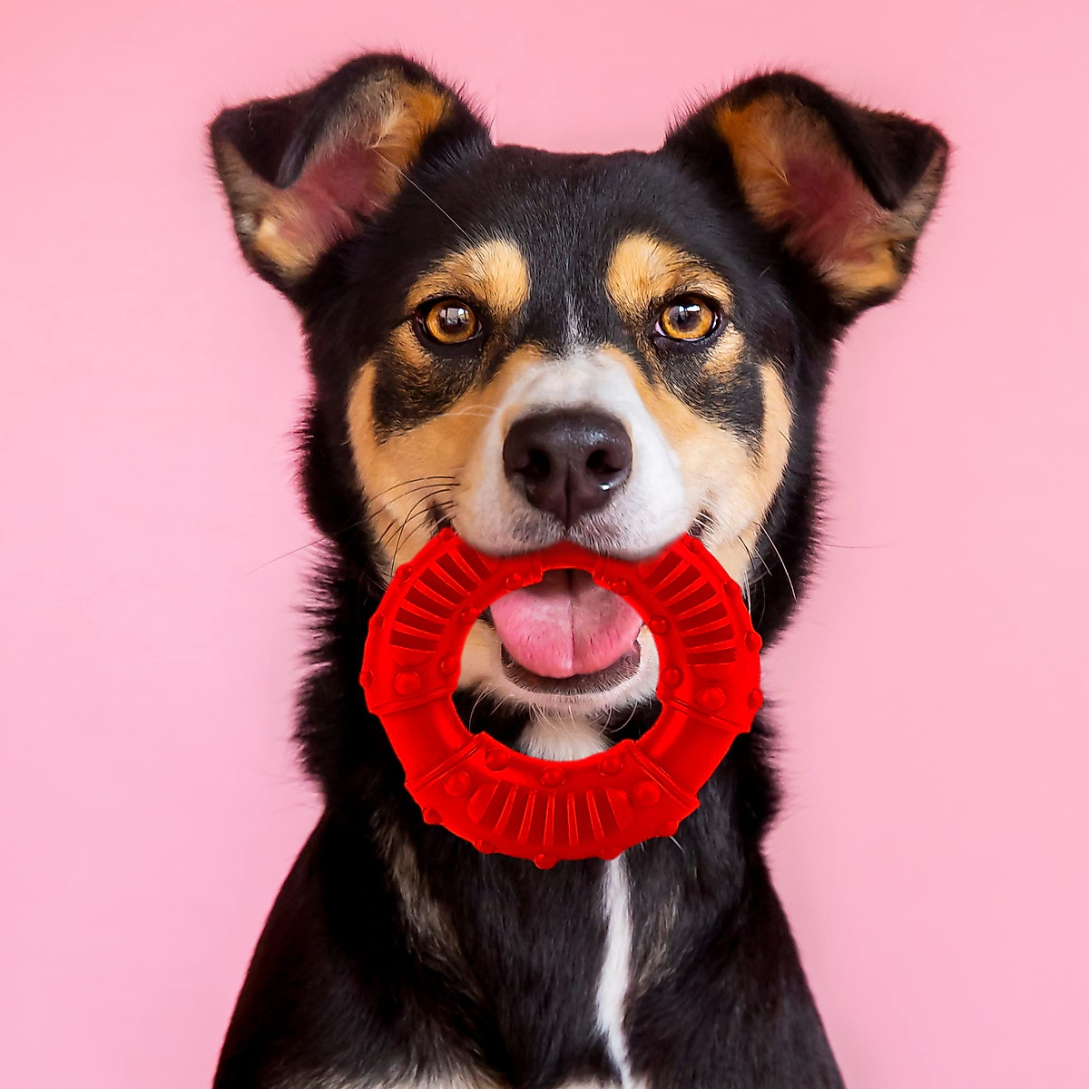 SIMENA Heavy Duty Dog Chew Toy, Natural Teething Toy for Medium Breeds, Tough Durable Chewy Toy, Teeth Cleaning Tough Dog Toys (Ring, Red)