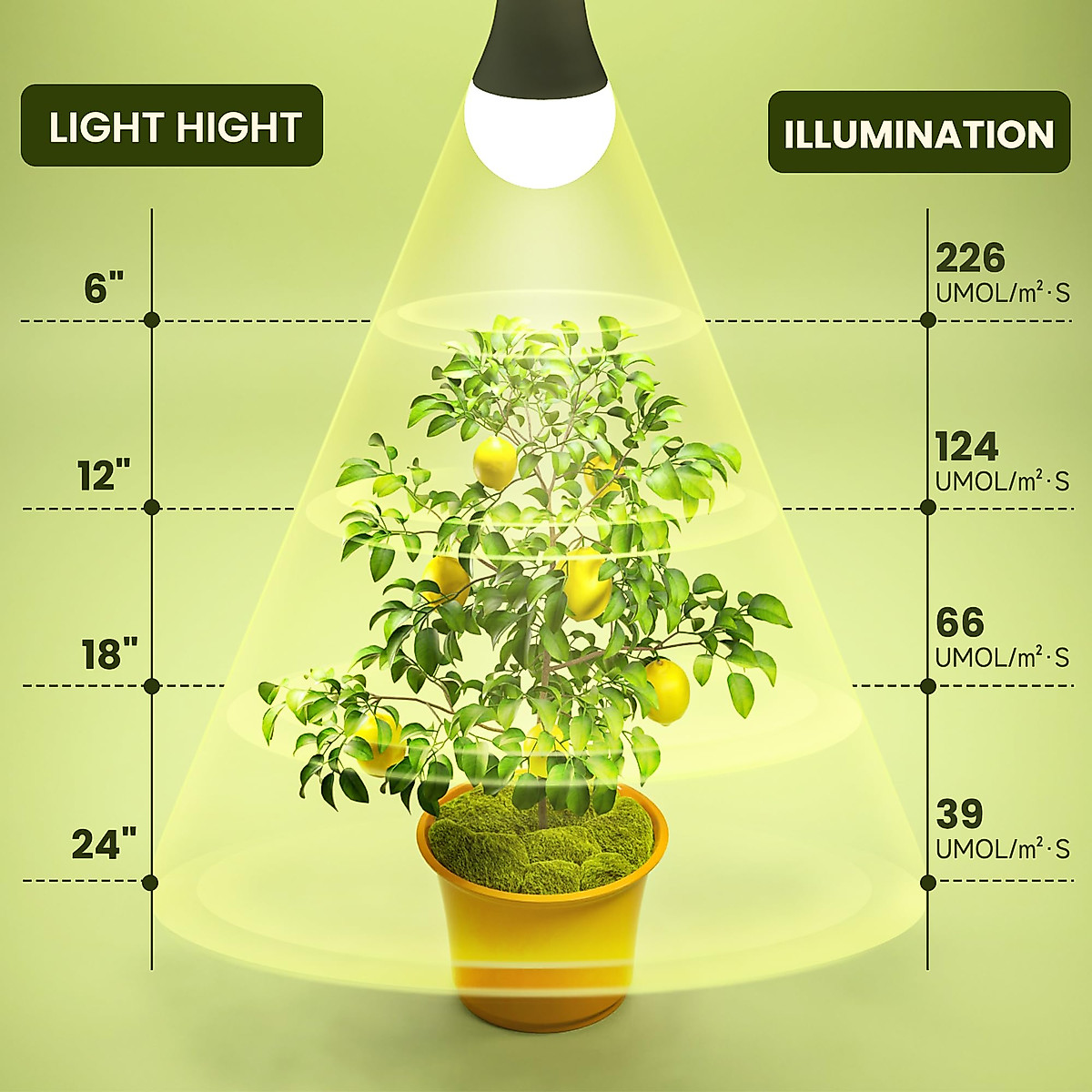 Grow Light Bulbs, LED Grow Light Bulbs A19, Full Spectrum Plant Light Bulbs, 100W Equivalent Grow Bulb, E26 Base, 9W Grow Lights for Indoor Plants, Flowers, Seed Starting, Greenhouse, 4000K, 2-Packs