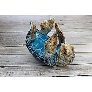 Sea Turtle Bottle Holder Turtle Figurine Natural Color Turtle Wine Bottle Holder, Blue