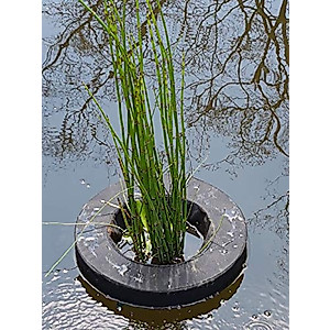PondH2o 14" Round Floating Aquatic Water Garden Pond Planter Baskets, Floatable Aquatic Plant Flower Islands for Ponds and Water Features | Value 2 Pack
