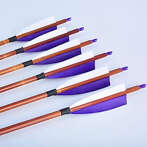 AMEYXGS 30inch Carbon Arrows Hunting Aiming Practice Arrows Spine 500 with 4inch Shield Turkey Feather Detachable Arrowhead for Recurve Compound Bow Longbow 12pcs (12Pcs Purple)