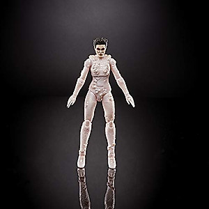 Ghostbusters Plasma Series Gozer Toy 6-Inch-Scale Collectible Classic 1984 Action Figure, Toys for Kids Ages 4 and Up (E97985X0)