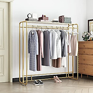 FONECHIN Heavy Duty Gold Clothing Rack for Boutique Use, Metal Garment Rack with Top Shelf, Dual-bar Clothes Rack for Retail Display