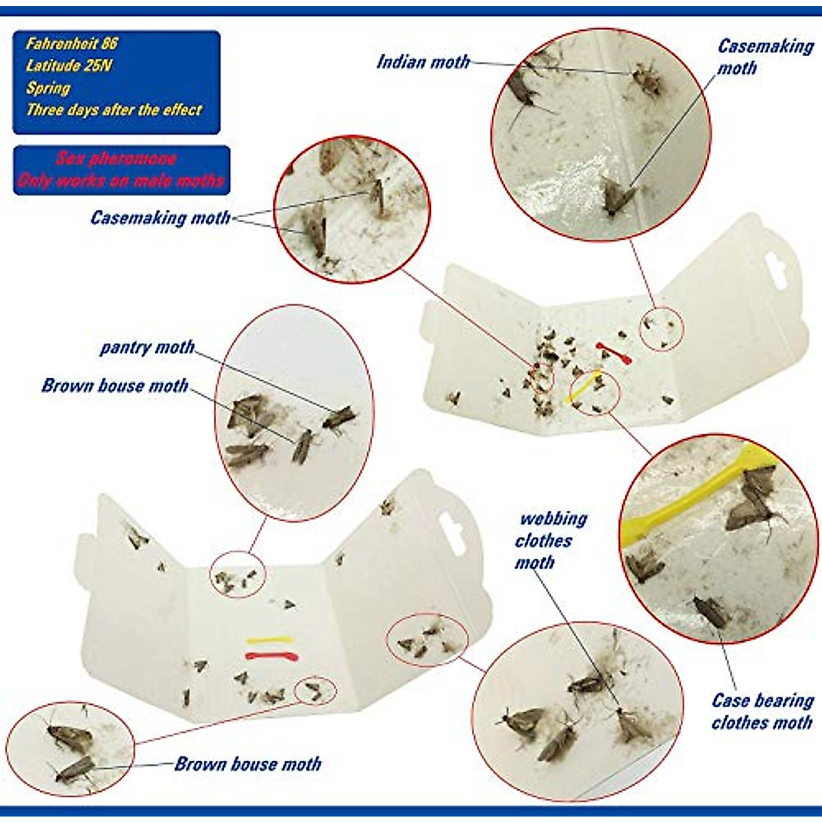 Dual Moth Traps for Clothes and Pantry Highly Effective All-Around Moth Traps,Pro Cloest Essentials Get Rid of Wool Moths with Natural Safe and Odor-Free Dual Premium Pheromone