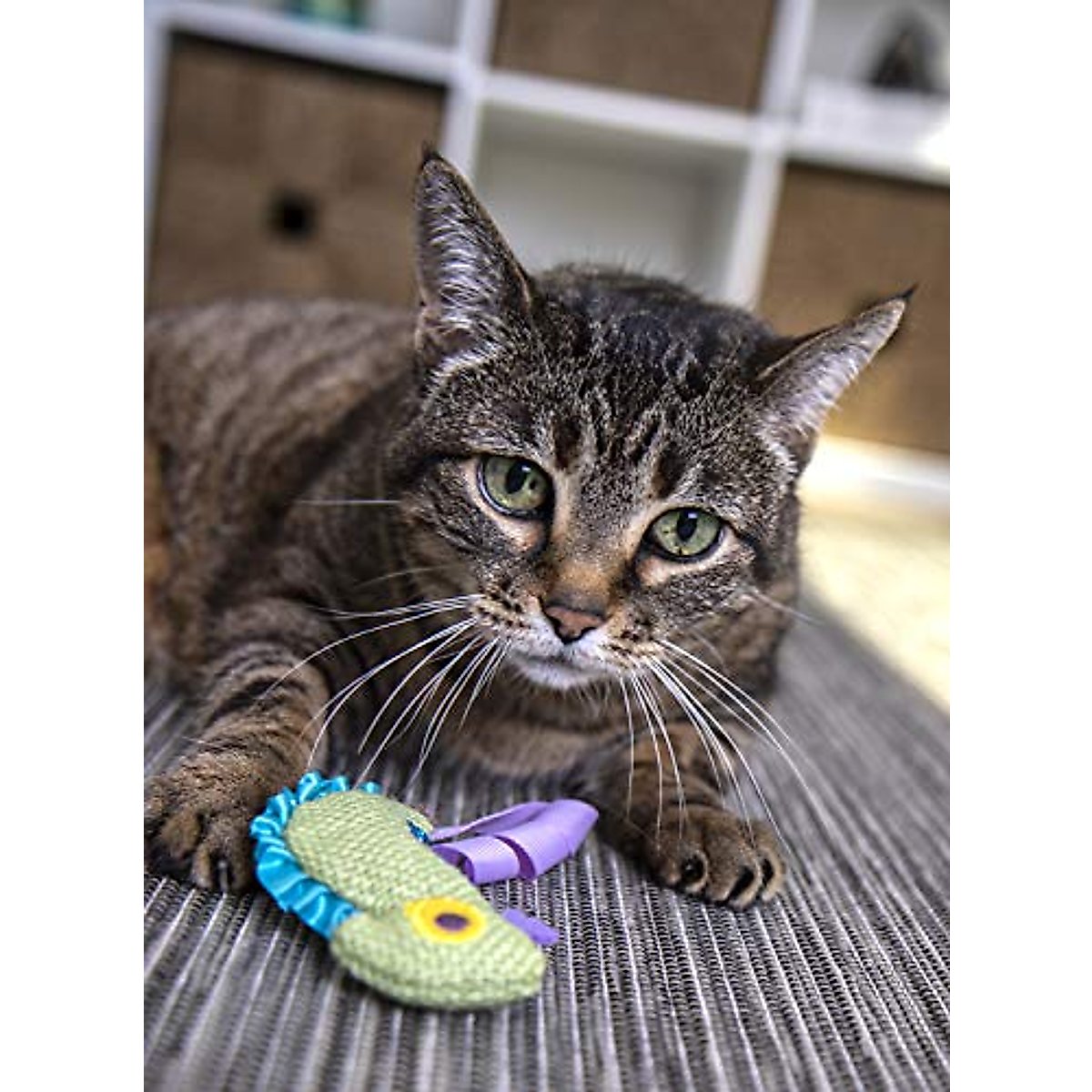 Petlinks HappyNip Crinkle Chameleon Cat Toy, Contains Silvervine & Catnip - Green, One Size