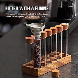 Coffee Bean Cellars with Stand & Hopper, Single Dose Coffee Bean Storage, 12 Pcs Espresso Bean Container with Wooden Holder, Dosing Glass Vials with Lids and Funnel for Tea, Coffee, Spices