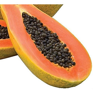 David's Garden Seeds Fruit Papaya Red Maradol Dwarf 4356 (Red) 15 Non-GMO, Hybrid Seeds
