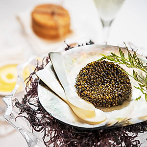 4 PCS Handmade Caviar Server Set,Black/Gold Mother of Pearl Caviar Dish and 2 Pearl Spoon for Caviar Jewelry Christmas Gift