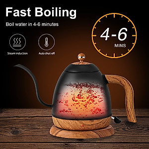 Bsigo Gooseneck Electric Kettle with Thermometer, 100% Stainless Steel for Pour-over Coffee & Tea Kettle, BPA Free, Auto Shut off Anti-dry Protection, Quick Heating Boiling Water, 1000W-0.8L, Black