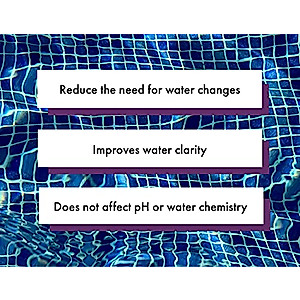 Spa & Hot Tub Enzymes - Quart - Prevents Scum Lines & Odors in Hot Tub & Spa Water, Breaks Down Oil, Lotion and Other Organics