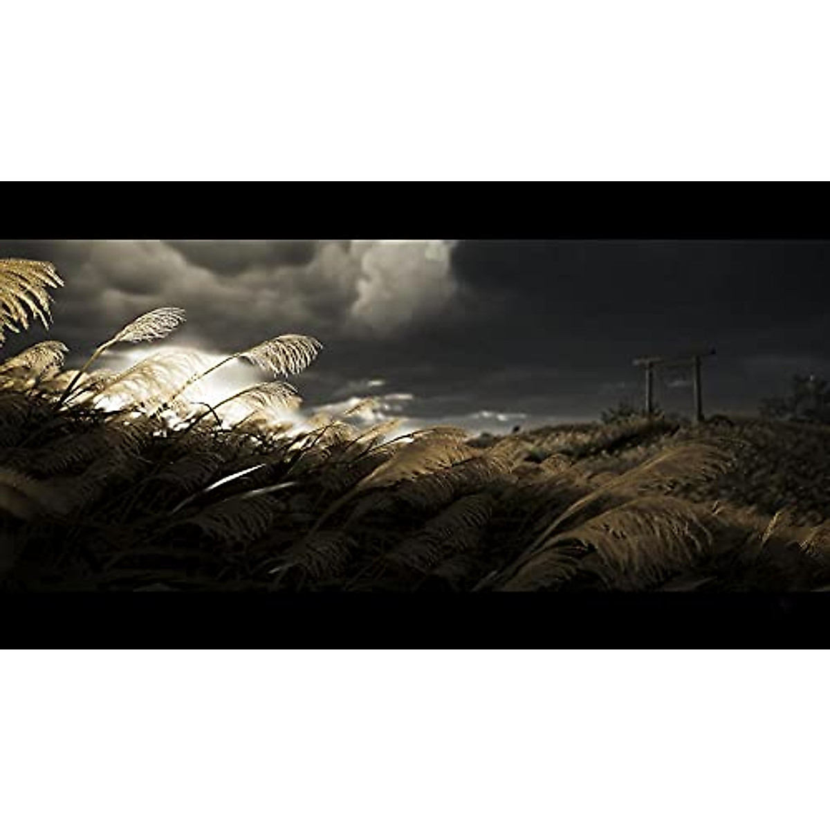 SONY PS5 GHOST OF TSUSHIMA DIRECTOR'S CUT- PS5, Black, 10GHOCU2