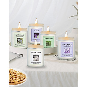 GITRANG 4 Pack Citronella Candle Set, 30 oz 200 Hour Home Aromatherapy Jar Candles, Long Lasting Aromatherapy Candles for Bedrooms Yoga Rooms Lounges Gardens Patios Balconies and Camping