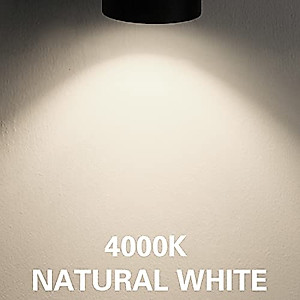 INTWELL 10W H Track Lighting Heads,Dimmable LED Track Light Heads for Accent Retail Artwork,4000K Netural White, Linear Track Light H Type - 120V 24°Angle Halo Type 16Pack (Black)