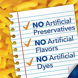 Kraft Easy Mac Original Flavor Macaroni and Cheese (8 Microwaveable Cups)