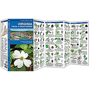 Virginia Trees & Wildflowers: A Folding Pocket Guide to Familiar Plants (Nature Observation North America)
