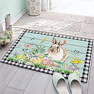 Easter Egg Bath Mat, Soft Absorbent Microfiber Plush Bathroom Rugs Mat Non Slip Doormat Floor Mat Carpet Easter Bunny Colorful Eggs Farm Chick Black Plaid 16x24