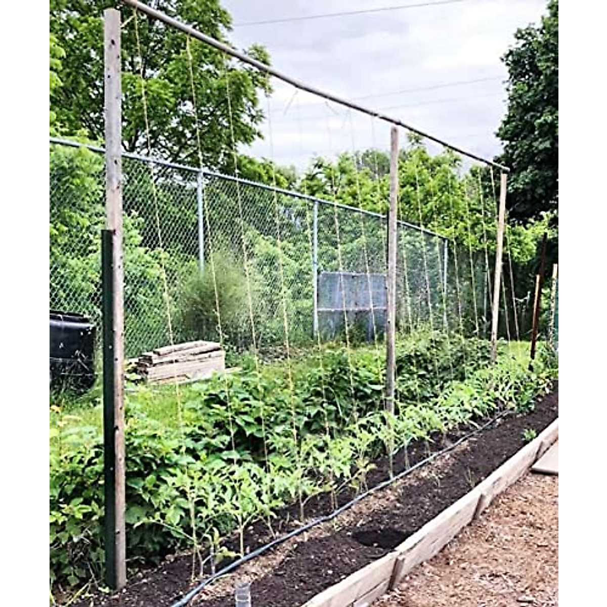 IRRIGATION-MART 6300FT Tomato Tying Garden Twine