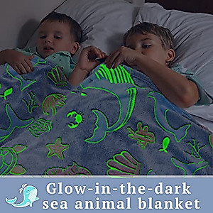 Glow in The Dark Throw Blanket Dolphin Marine Life Luminous Blankets and Throws Blue Colorful Plush Blankets Soft Glowing Throw Gift for Kids Girls Boys Teens Age 1-15 Years Old