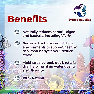 DrTim’s Aquatics Eco-Balance for Saltwater Aquariums – Multi-Strained, Supportive Probiotic Bacteria to Maintain a Balanced Fish Tank Environment-4 oz.