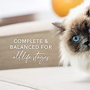 Feline Natural BPA-Free & Gelatin-Free Canned Cat Food, Lamb & Salmon 6oz 12 Pack