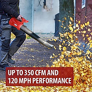 MOKENEYE 20V Cordless Power Leaf Blower 120MPH 350CFM 4.0Ah and 2.0Ah Batteries 2 Section Tubes 6-Speed for Leaves, Dust, Light Snow, Yard, Patio, Gardening