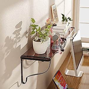 Acrylic Floating Shelves,15.7"Floating Shelves Wall Mounted Set of 2, Sturdy Thickness 10mm(0.4inch) Acrylic Shelves for Bedroom, Bathroom, Living Room, Kitchen, Laundry Room Storage & Decoration