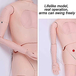 TAKESH Demonstration Human Manikin with Arm Blood Pressure Measurement Education Teaching Model Training CPR Simulator for Nursing Medical Training Life Size