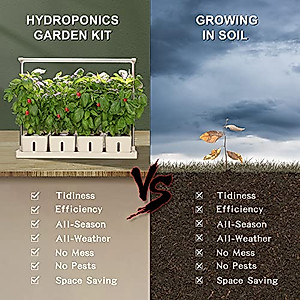 20 Pods Hydroponics Growing System, Herb Garden Kit Indoor Adjustable Height with Automatic Timer 34-Watt LED Grow Light, Indoor Garden with 4 Removable Water Tank, Gifts for Plant Lovers