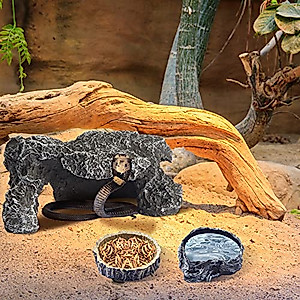 3 Pcs Large Reptile Water Dish Feeding Reptile Food Dish with Reptile Hides and Caves Tortoise Hideout Lizard Rock Hideout Tortoise Habitat Accessories for Geckos Spiders Snakes Hermits Turtles Crabs