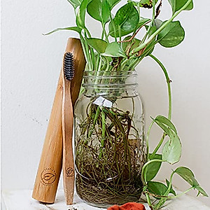 LEAFICO Bamboo Toothbrush with Travel Case - Dental Floss - Tongue Scraper - Premium Eco-Friendly Toothbrushes - Charcoal Infused Soft Bristles for Natural Whitening - BPA Free - Vegan Zero Waste Gift