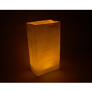 Fortune Products LL-8A Luminary Light, 2 3/4" Length, 1 1/2" Width, 3/4" Height, 8 LEDs, Amber LEDs with Black Base