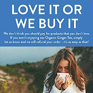 FGO Organic Ginger Tea, Eco-Conscious Tea Bags, 20 Count, Packaging May Vary (Pack of 1)