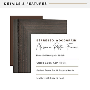 MCS Museum Poster Frame 13.5x40 Espresso Woodgrain, Vertical & Horizontal Wall Hanging Large Picture Frame for Photos, Posters & Art Prints (1-Pack)