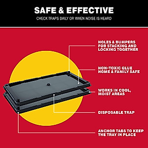 Catchmaster Rat & Mouse Glue Traps with Sticky Putty 2Pk, Large Bulk Glue Rat Traps, Mouse Traps Indoor for Home, Pre-Scented Adhesive Plastic Tray, Snake, Mice, & Spider Traps, Pet Safe Pest Control