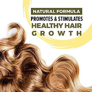 Perfect Hair Natural Shampoo and Conditioner - Paraben and Sulfate Free Infused with Jojoba, Coconut, Argan Oil and Biotin - Color Safe Formula Promotes Hair Growth - Includes Pump 13.5 ounce(1 Pack)