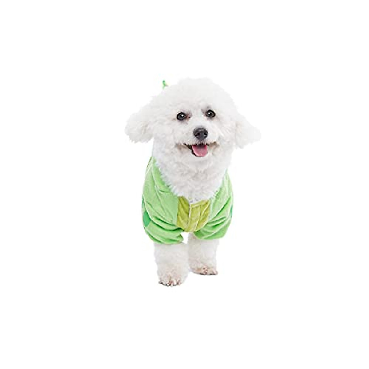 Spooktacular Creations Dinosaur Hoodie Pet Costume for Cat and Dog Halloween Dress Up Party and Pet Cosplay (Medium)