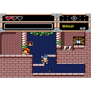 Wonder Boy Collection - Nintendo Switch