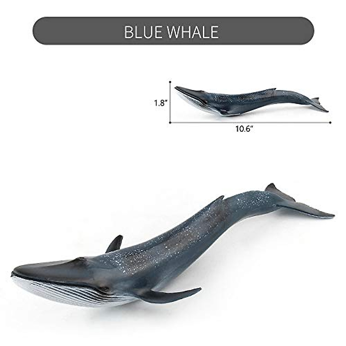 EOIVSH Sea Animal Figure Blue Whale Toy, Plastic Large Ocean Animal Figurine Realistic Educational Marine Model Figurine for Birthday Gifts, Party Favors, Kids Toys