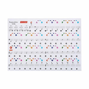 VGEBY 61/88 Keys Piano Stickers, Transparent Removable Keyboard Double Layer Coating for Kids and Beginners(Colored)