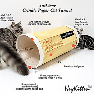 HeyKitten Tearproof Paper Cat Play Tunnel with Crinkle Sound, Durable Kraft Constructed, Collapsible Hideaway Pet Toy for Indoor Kittens, Puppies, Bunnies, Ferrets and Adult Pets, 10" Small
