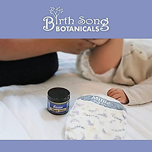 Birth Song Botanicals Diaper Salve Ointment, 1.5 Ounces