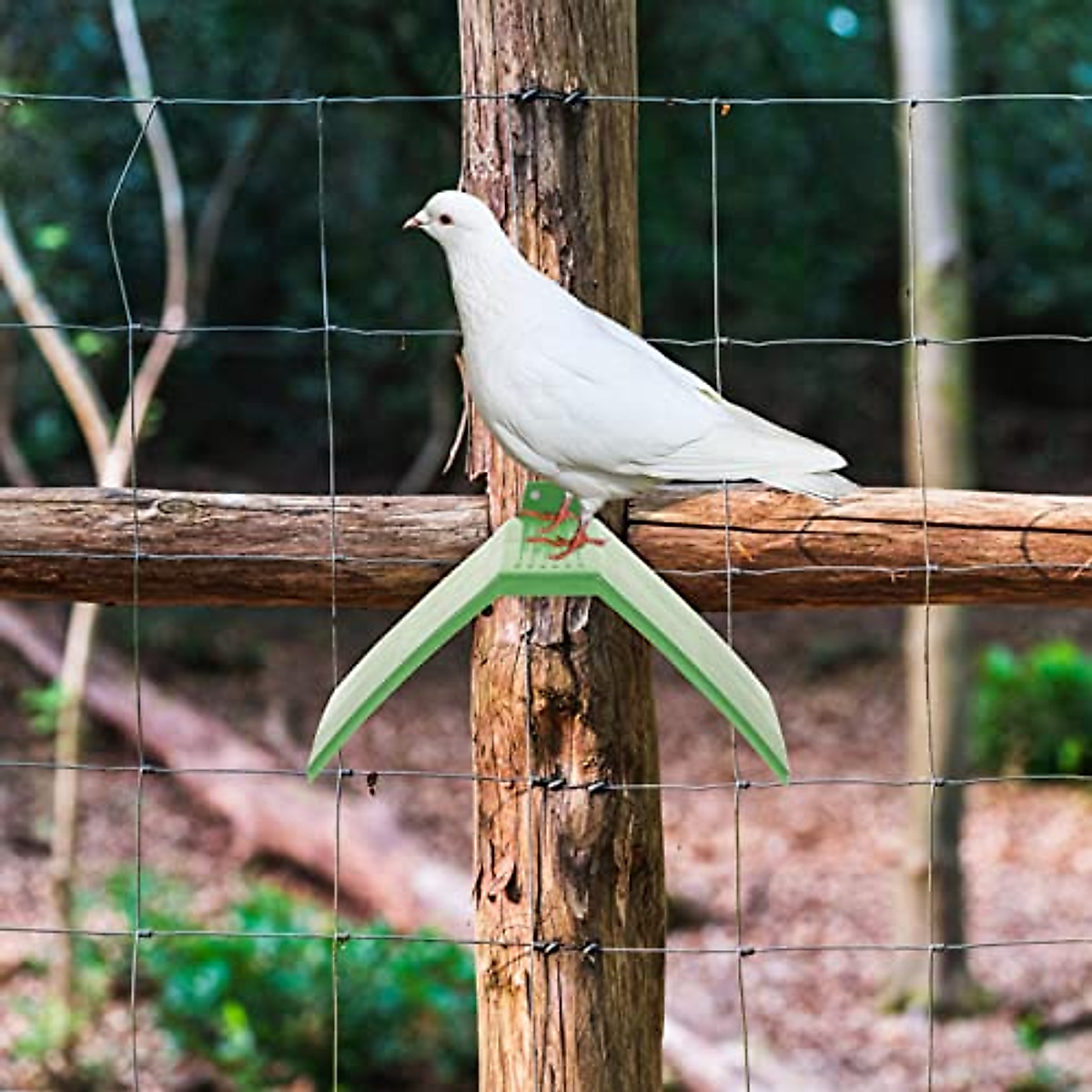 Yardwe 20pcs Plastic Pigeon Rest Stand Bird Perches Bird Dwelling Stand Frame for Bird Supplies Random Color