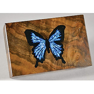 Crushed mother-of-pearl Inlay Supplies for Woodworkers, Turners, Casters, Luthiers, Professionals and Hobbyists - Flake, 1 oz.